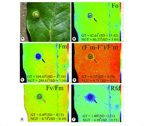 Fluorescence Quenching Analysis Performed Means ± Standard