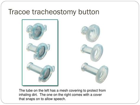 Ppt What Kind Of Tube Is This Powerpoint Presentation Id6215268