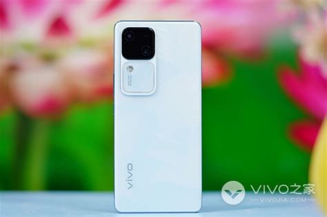 vivoy100t怎么看卡1和卡2 vivoy100t怎么区分卡1和卡2教程 VIVO之家