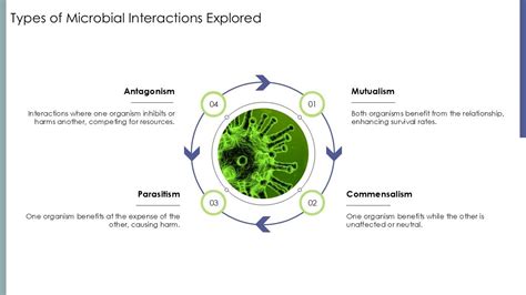 Types Of Microbial Interactions Explored Geomicrobiology Ppt Example St Ai Ss Ppt Sample
