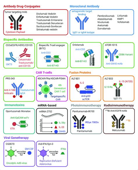 Overview Of Antibody Protein MRNA Cell And Viral Based Drugs