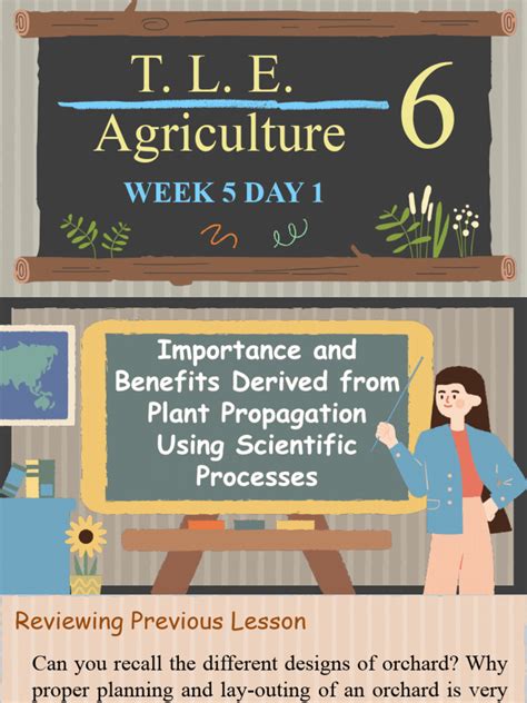 Tle Agri 6 Week 5 Day 1 4 Pdf Grafting Horticulture