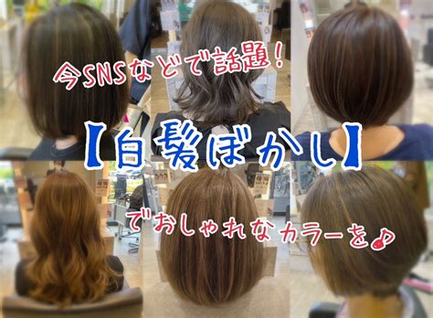 白髪があってもおしゃれで明るいカラーをしたい方必見！！『白髪ぼかしカラー』｜コラム 美容室 Bibbidibobbidiboo 枚方ビオ