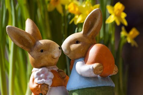 Bunnies Hd Wallpapers
