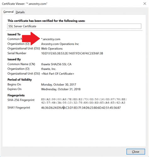 {beginners Guide} All You Need To Know About Ssl Certificate Host