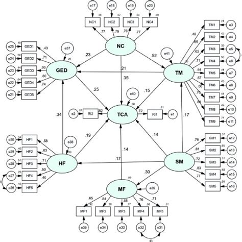 Risk Factors Path Relationship Download Scientific Diagram
