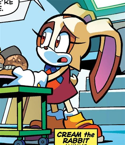 Top 10 Favorite And Least Favorite Sonic Characters Sonic The