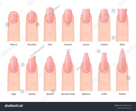Fingernail Shapes Feminine Nail Shape Types Stock Vector Royalty Free