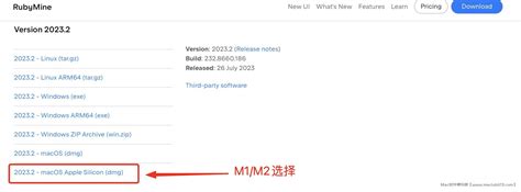 Ruby开发 RubyMine for Mac 2023 3 永久激活 Mac软件俱乐部