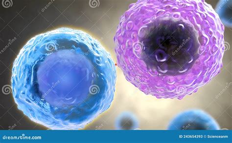 Antigen Recognition By B Cell And T Cell Receptors Stock Illustration Illustration Of Human