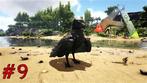 Ark Survival Evolved Capture De L Argentavis Youtube