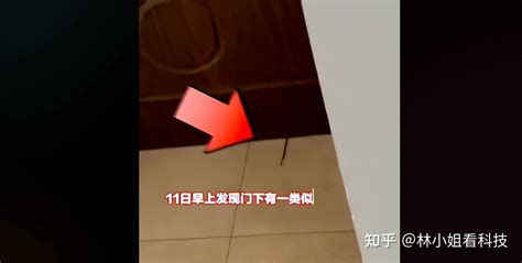 女子称合租遭男室友偷拍，用管道内窥镜从门缝偷窥，警方：拘留！ 知乎