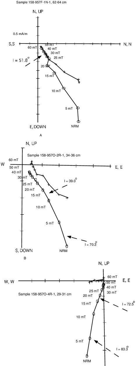 Representative vector endpoint diagrams showing the results of AF... | Download Scientific Diagram