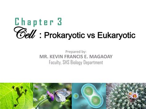 Lesson Prokaryotic Vs Eukaryotic Cell PDF