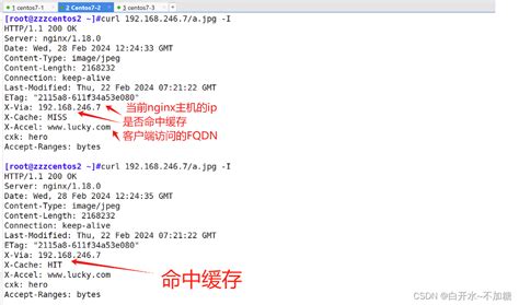 Nginx 缓存功能 Ip透传 负载均衡 （六）响应报文头中的rmip Csdn博客