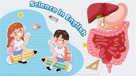 꾸그 저학년 100 영어로 배우는 과학 상식 소화계
