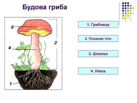 Шкільна родина 3 Ж класу 6 квітня 2020 Понеділок