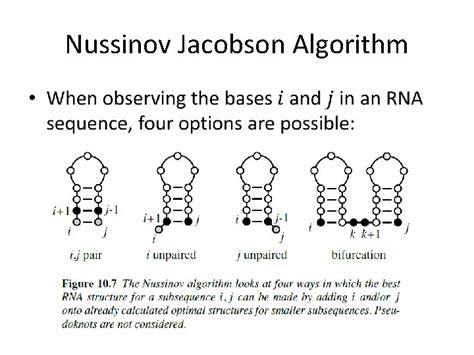 Rna Secondary Structure Prediction Rna Role In Organisms