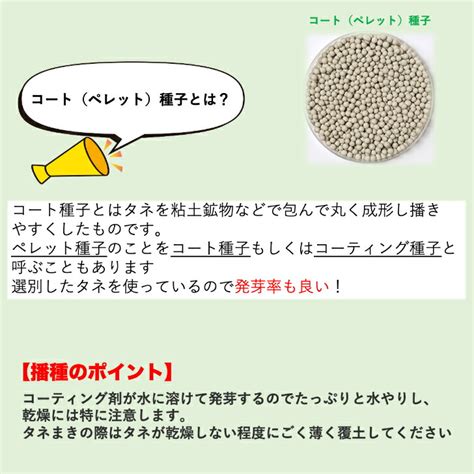 【楽天市場】アロマレッド ニンジン コート 210粒 種 野菜 プロ向け 家庭菜園 農家 セレクト トーホク にんじん 人参：良い種 良い苗