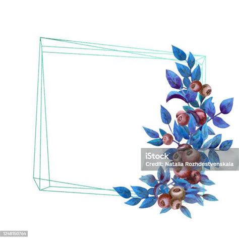 白い孤立した背景に青い色調の熟したブルーベリーと幾何学的なフレーム水彩画のイラスト アイコンのベクターアート素材や画像を多数ご用意