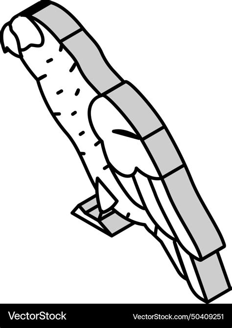 African Grey Parrot Bird Isometric Icon Royalty Free Vector