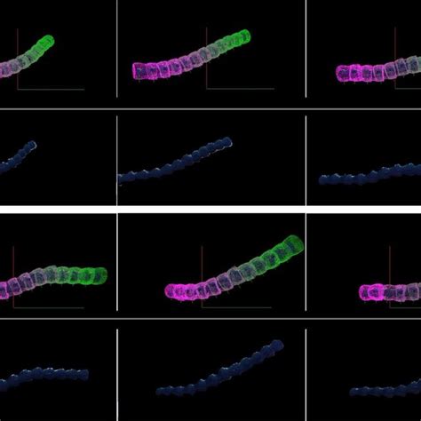 Online Visualization Of Recognized 3d Shapes Of Deformable Link Download Scientific Diagram