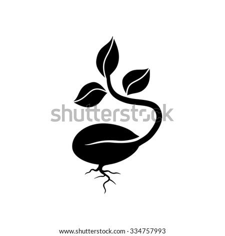 Seed Icons Vector Stock Vector Shutterstock