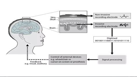 brain computer interface bci pptx