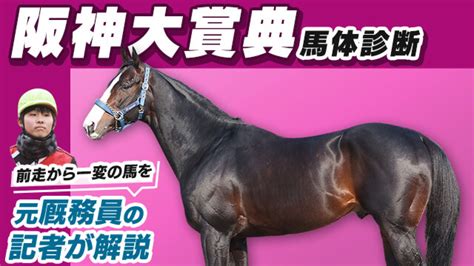 【阪神大賞典2023予想】前走とは桁違いの馬体！長距離適性が高い3頭をピックアップ 競馬予想動画