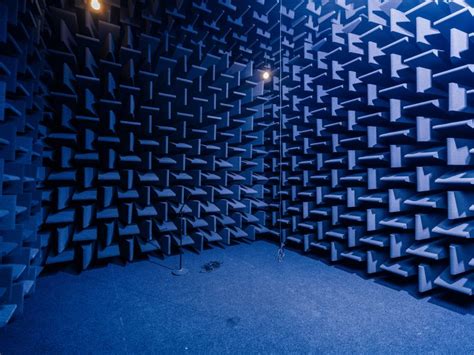 Pvs On Linkedin Did You Know That At Pvs We Have Our Very Own Anechoic Chamber But What… 10