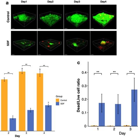 Confocal Laser Scanning Microscopy Clsm Analysis Of Biofilms Grown On