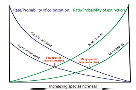 Bits And Bytes Of Biology Equilibrium Theory Of Island Bio Geography