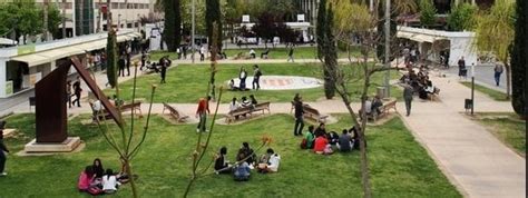 Increíble la vegetación contribuye al desarrollo cognitivo de los niños Instituto