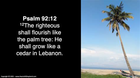 A Psalm Or Song For The Sabbath” Psalm 92 From The Heart Of A