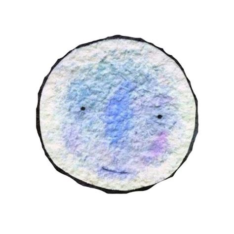 A Que Sabe La Luna Artofit