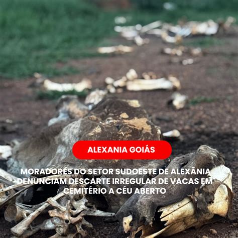 Moradores do Setor Sudoeste de Alexânia Denunciam Descarte Irregular de