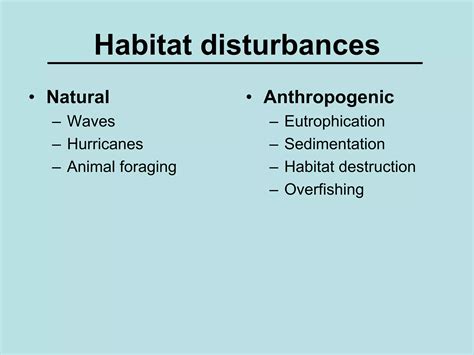 Seagrass Lecture Pptx