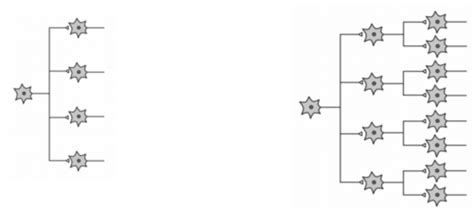 Neuronal Integration Flashcards Quizlet