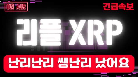 리플 미국본사 난리 났습니다 Xrp 리플 Youtube