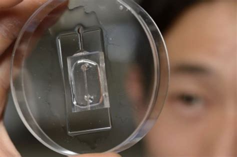 New Device Gives Unprecedented Real Time View Of How Cancer Cells Spread ScienceAlert