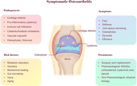 Osteoarthritis Physiotherapy