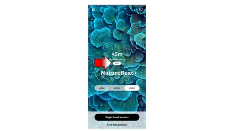 How Do I Adjust The Timer Focuswill