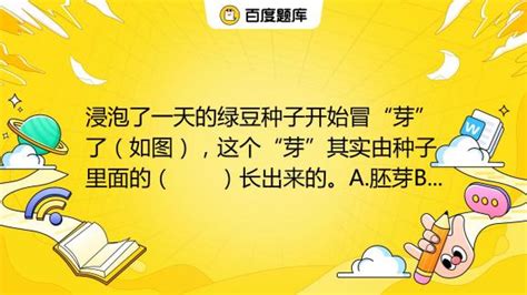 浸泡了一天的绿豆种子开始冒“芽”了（如图），这个“芽”其实由种子里面的（ ）长出来的。a胚芽b胚根c子叶百度教育