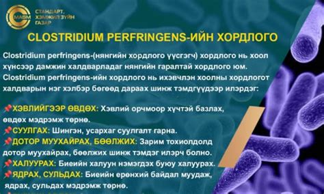 Өвөрхангай аймаг Стандарт хэмжил зүйн хэлтэс