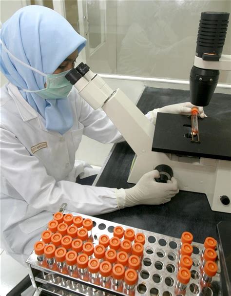 Presentan Secuencia Genoma Mitocondrial Humano Más Antiguo Del Mundo