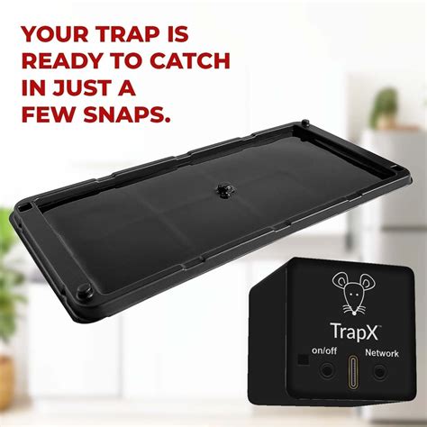 Say Goodbye To Cockroaches With Advion Cockroach Gel Trapx
