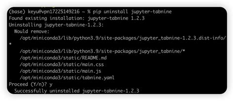 How Can I Just Uninstall Your App From Jupyter Lab · Issue 522