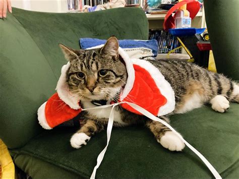 David Sooby On Linkedin Merry Christmas To Everyone I Hope Everyone Gets A Good Break And Time…