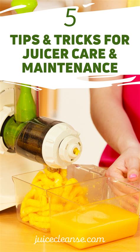 How to choose a juicer the ultimate guide of tips and tricks – Artofit