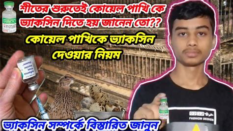 কোয়েল পাখির Rdb রানীক্ষেত ভ্যাকসিন যেভাবে করবেন Rdbভ্যাকসিন 🥰